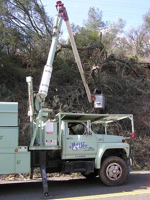 Utility / Hazard Tree Work | Hilltop Tree Service